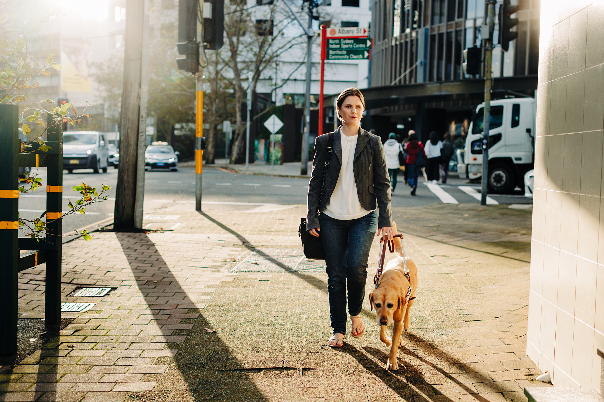 Assistance Animal National Principles | engage.dss.gov.au